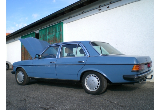 Bildergalerie: Mercedes-Benz W 123 Limousine (1975 - 1986) - autoplenum.de