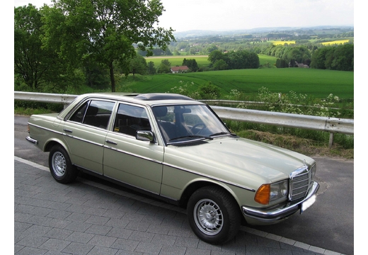 Bildergalerie: Mercedes-Benz W 123 Limousine (1975 - 1986) - autoplenum.de