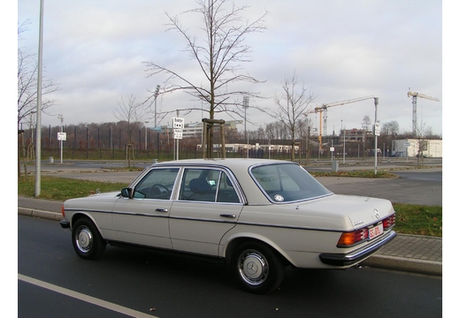 Bildergalerie: Mercedes-Benz W 123 Limousine (1975 - 1986) - autoplenum.de